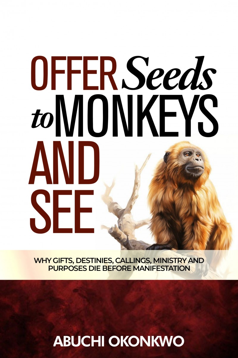 Get Offer Seeds to Monkeys and see - Abuchi Okonkwo by Abuchi Okonkwo on Selar
