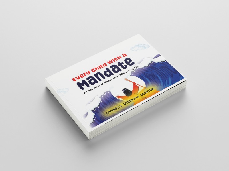 Buy EVERY CHILD WITH A MANDATE BY GOODNESS OGORIBA by Wholesome Life ...