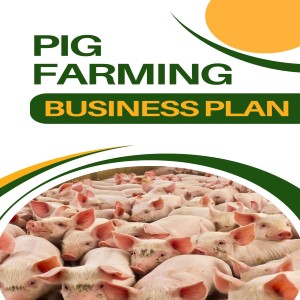 Buy PIG FARMING BUSINESS PLAN by Johnpaul Mbanefo on Selar