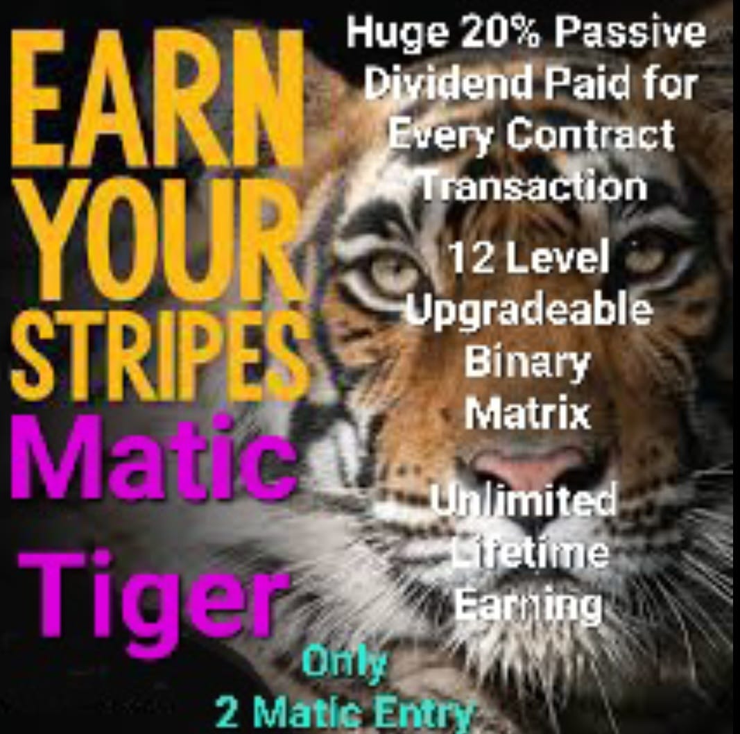 Buy Matic coin at cheap rate by Solomon Emmanuel on Selar