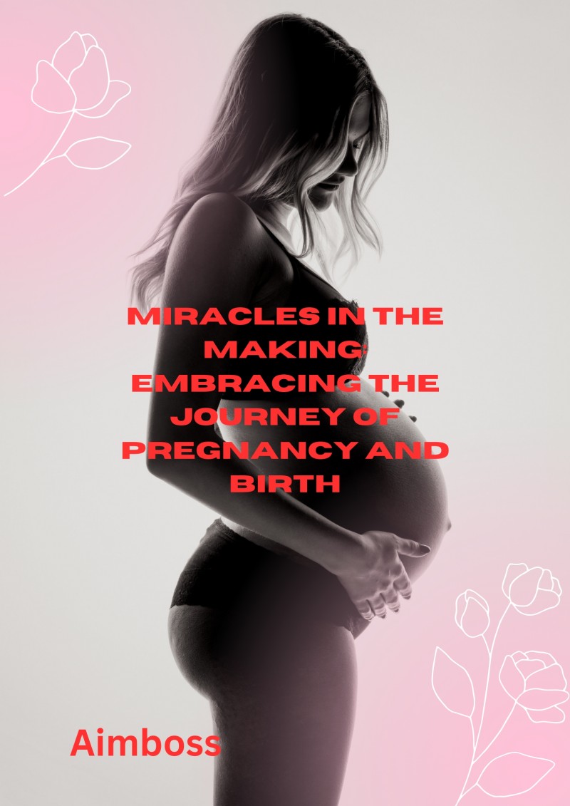 Buy Miracles in the Making: Embracing the Journey of Pregnancy and Birth by Amadi Chijioke on Selar