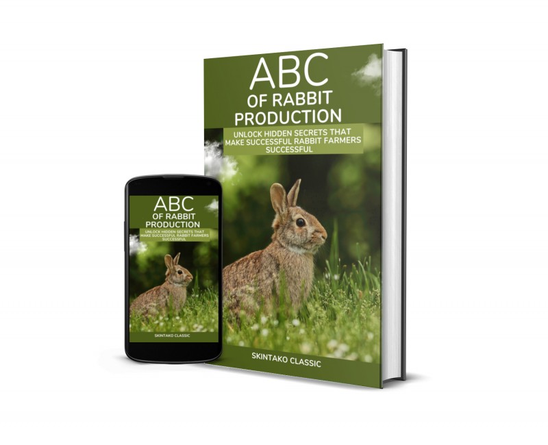 Buy ABC of Rabbit production by Dr Mantong Gopep on Selar