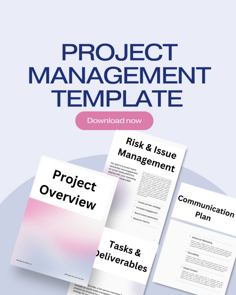 Buy Comprehensive Project Management Template by Ann christopher on Selar