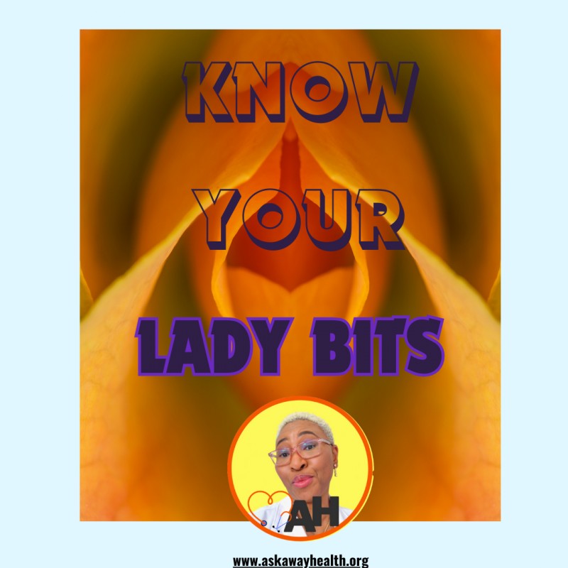 Get Know Your Lady Bits Guide by Askawayhealth by AskAwayHealth on Selar