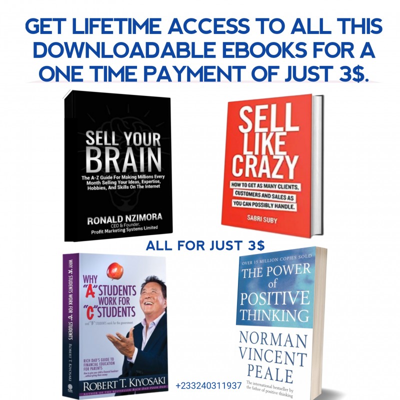 Buy THE 4 IN 1 WEALTH DEVELOPMENT BUNDLE by BizzhubDigital on Selar.co