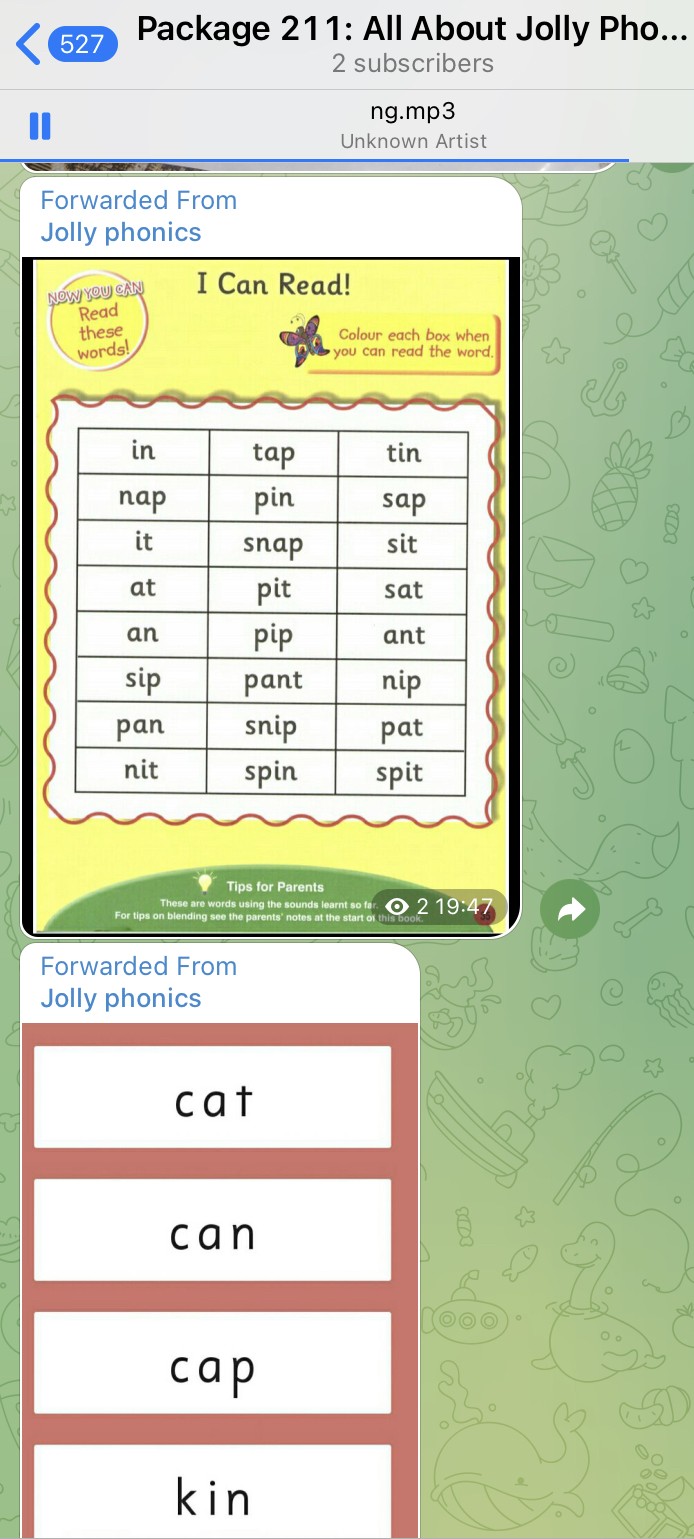 Buy All About Jolly Phonics Flyers And Videos - About 900 Fiiles by ...