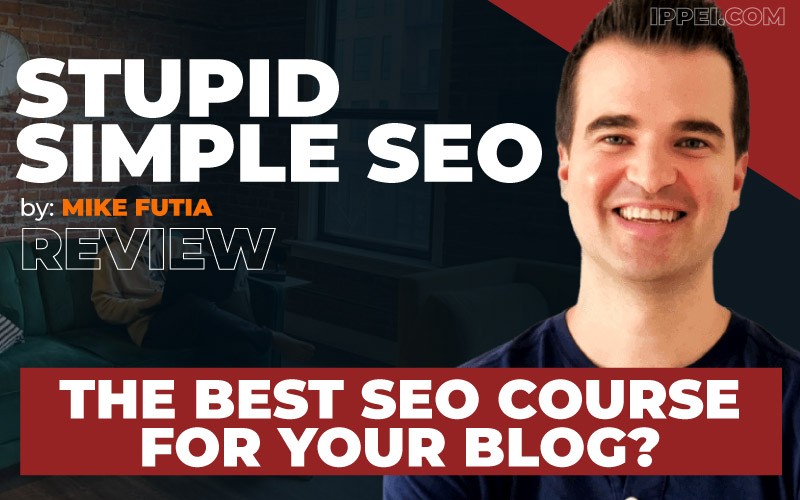Buy Stupid Simple SEO For Blog by Nelson Marketing on Selar.co