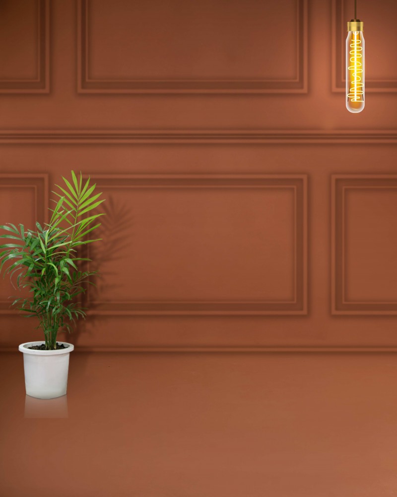 Buy 2024 Realistic backgrounds by Tche Brian on Selar