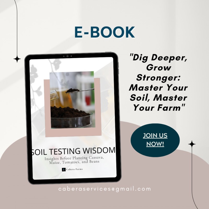 Buy Soil Testing Wisdom: Insight Before Planting Cassava, Maize ...