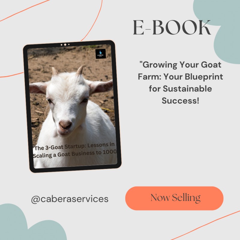 Buy The 3-Goat Startup: Lessons in Scaling a Goat Business to 1000 by ...