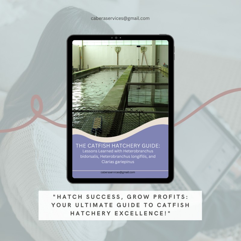 Buy The Catfish Hatchery Guide: Lessons Learned with Heterobranchus ...