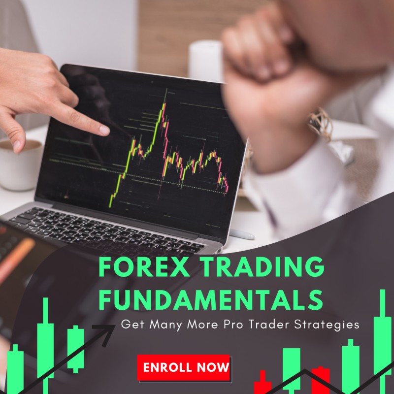 Buy FOREX TRADING FUNDAMENTALS by TRADING EXPERTS on Selar