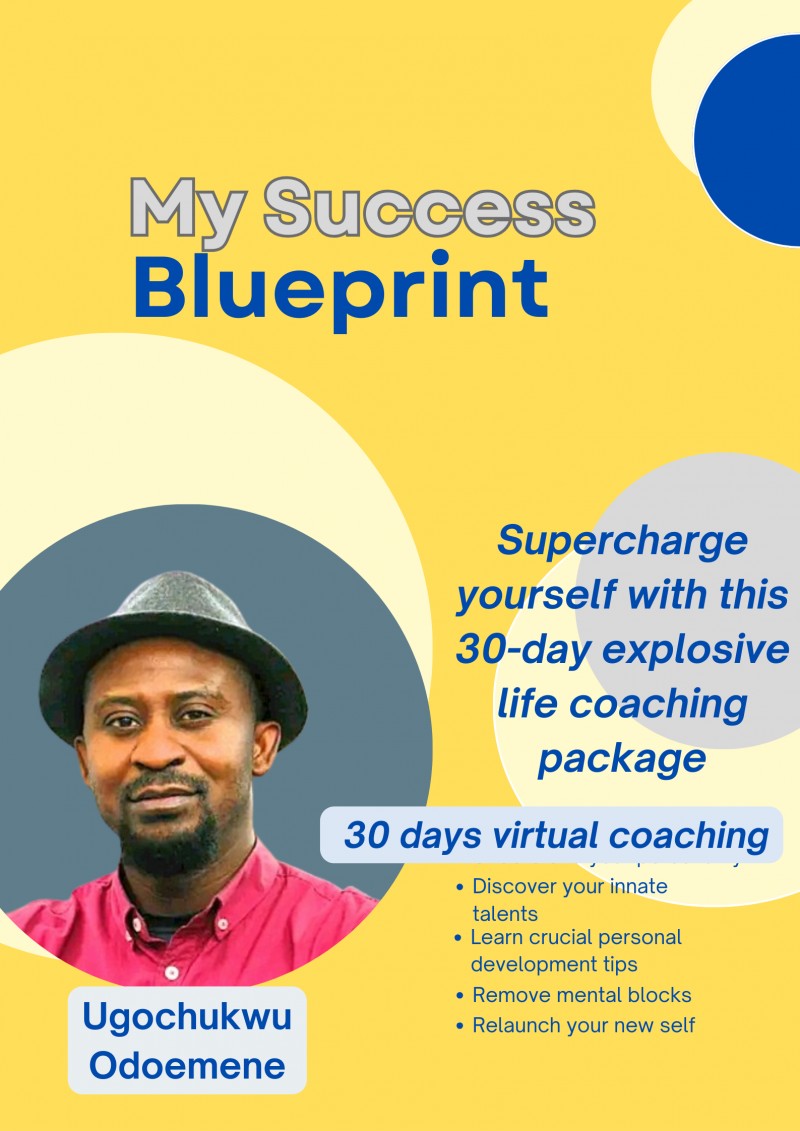 Buy My Success Blueprint by Ugochukwu Odoemene on Selar