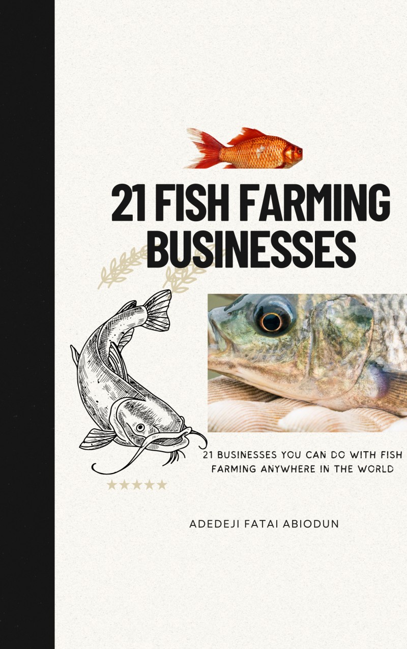 Buy 21 FISH FARMING BUSINESSES by Adedeji Fatai Abiodun on Selar