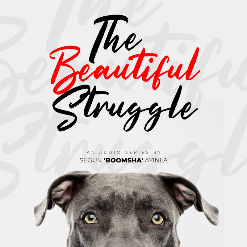 Buy The Beautiful Struggle (An Audio Series) by DaBoomsha on Selar
