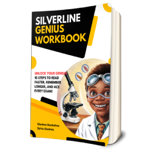 Buy Silverline Genius WorkBook by Digital Marketing Pro on Selar