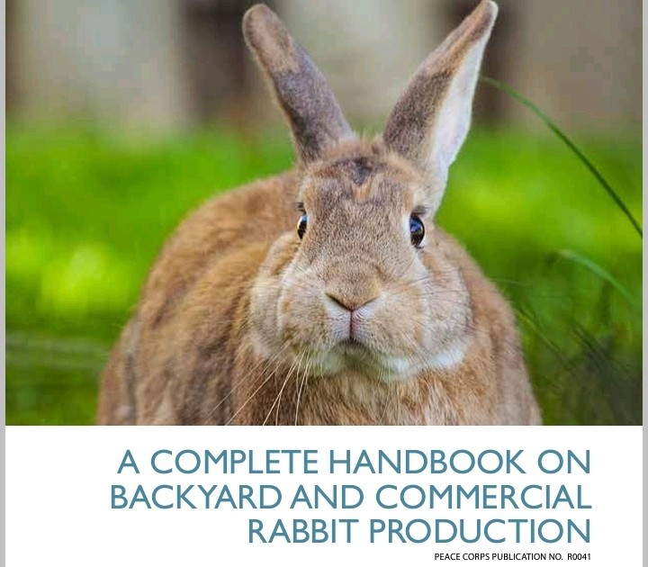 Buy A Complete Handbook on backyard and Commercial Rabbits Production ...