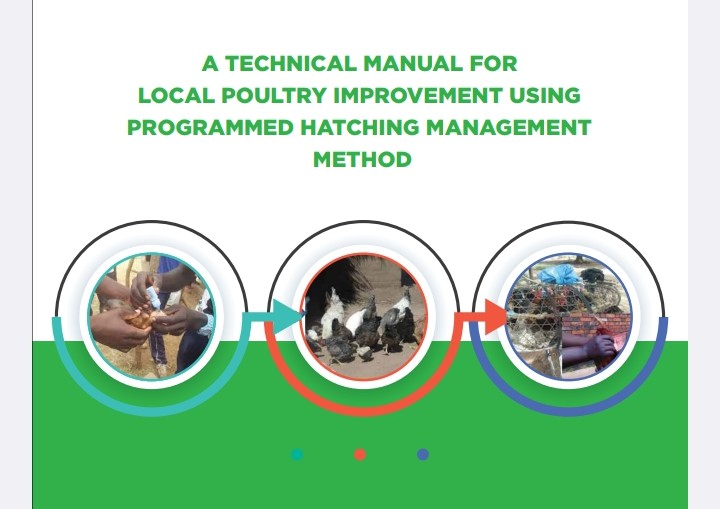 Buy A TECHNICAL MANUAL FOR LOCAL POULTRY (CHICKEN)IMPROVEMENT USING ...