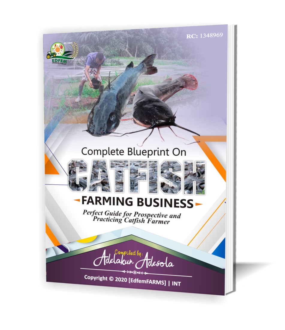 Buy COMPLETE BLUEPRINT ON CATFISH FARMING BUSINESS by EDFEM Integrated ...