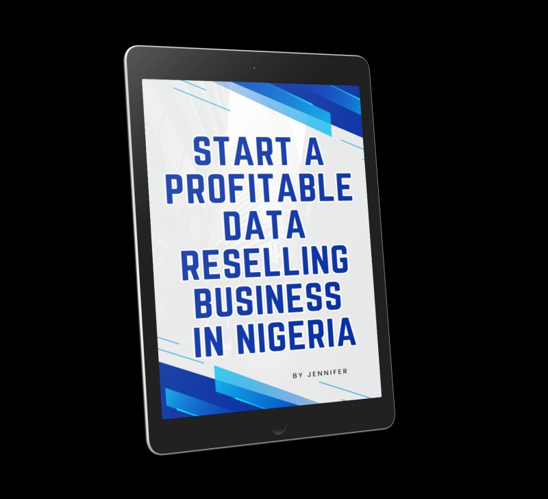 Get Start a Profitable Data Reselling Business In Nigeria (FREE Guide) by Earnproof on Selar