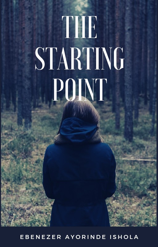 Buy The starting point by Ebenezer Ayorinde Ishola on Selar