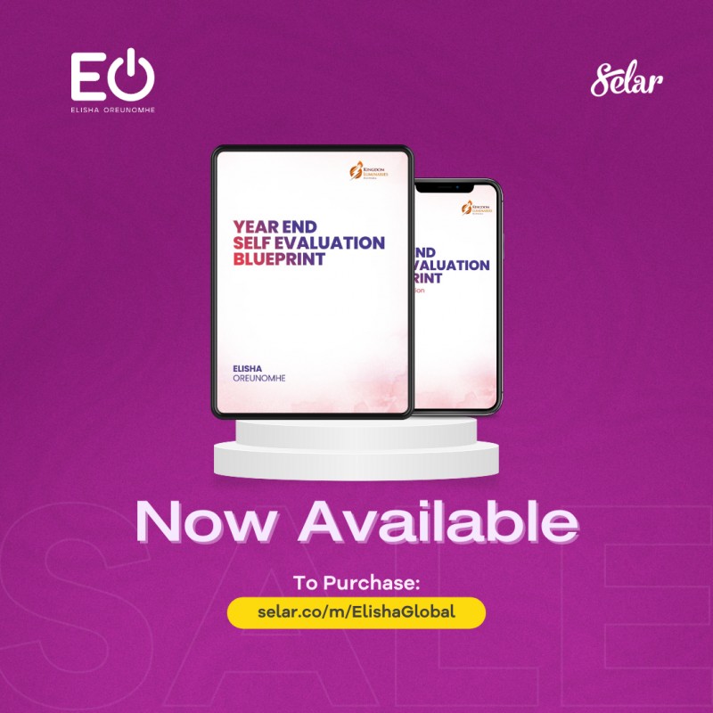 Buy Year End Self Evaluation Blueprint by Elisha Oreunomhe on Selar