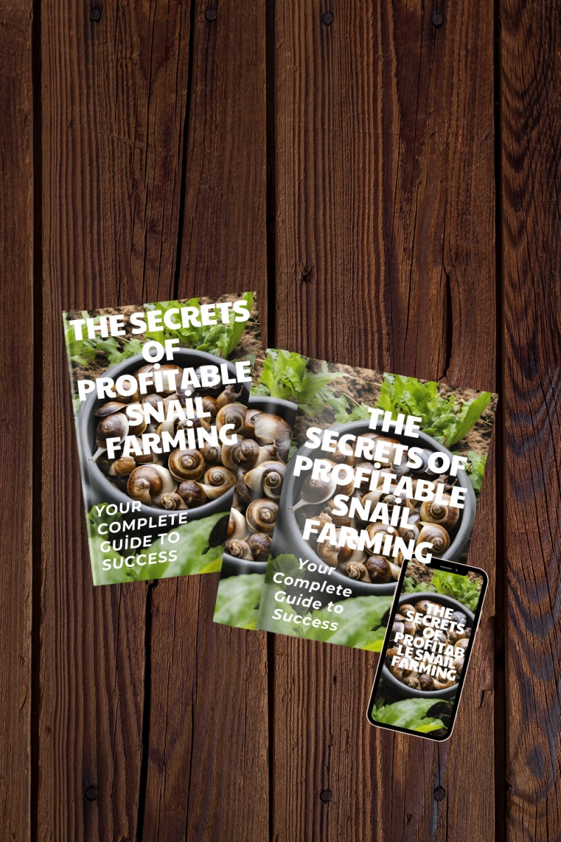 Buy Step by Step Practical Guide for Successful Snail Farming by Okonkwo Elochukwu on Selar