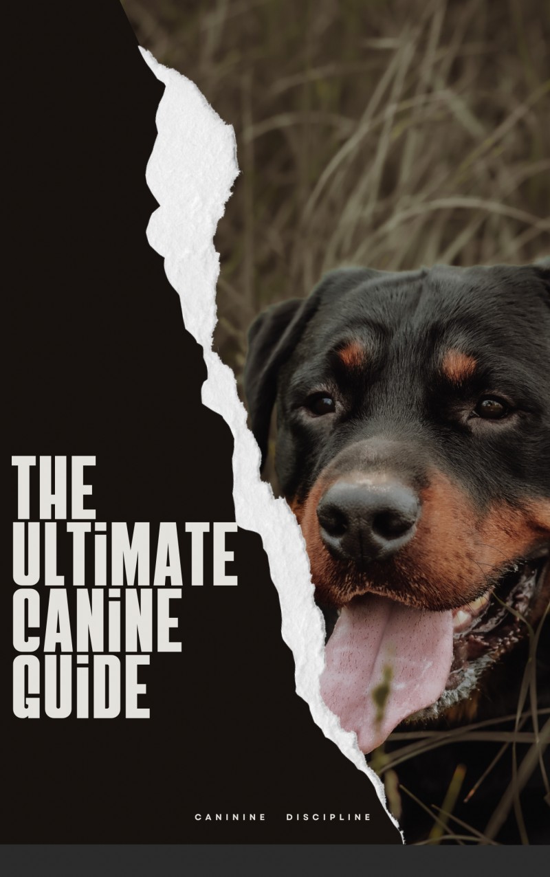Buy The Ultimate Canine Guide by Canine Discipline on Selar