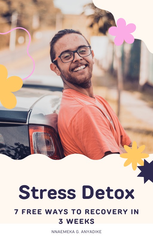 Buy Stress Detox - 7 Free Ways to Recovery in 3 Weeks by Nnaemeka ...