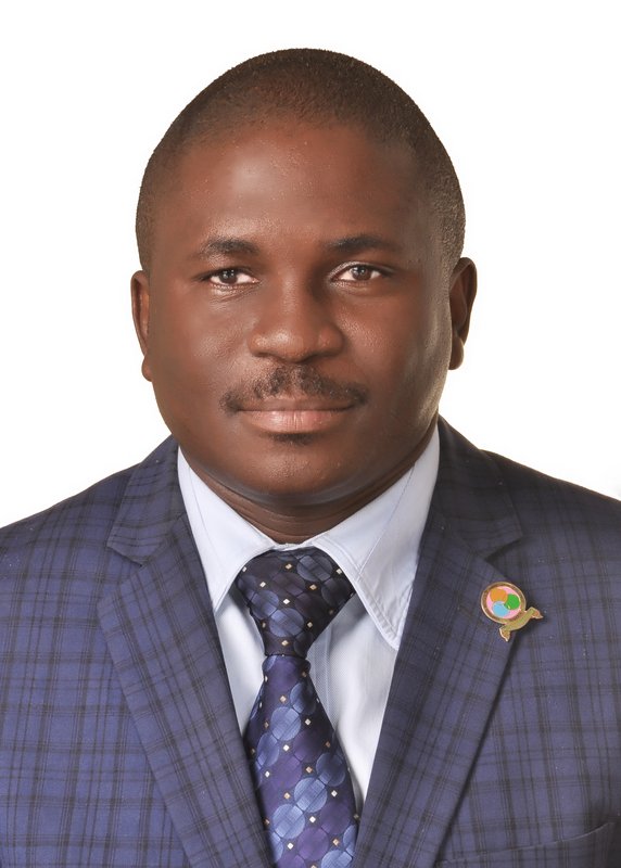 Buy 60-Minutes Consultation with Dr. Emmanuel I. Shaibu by Emmanuel ...