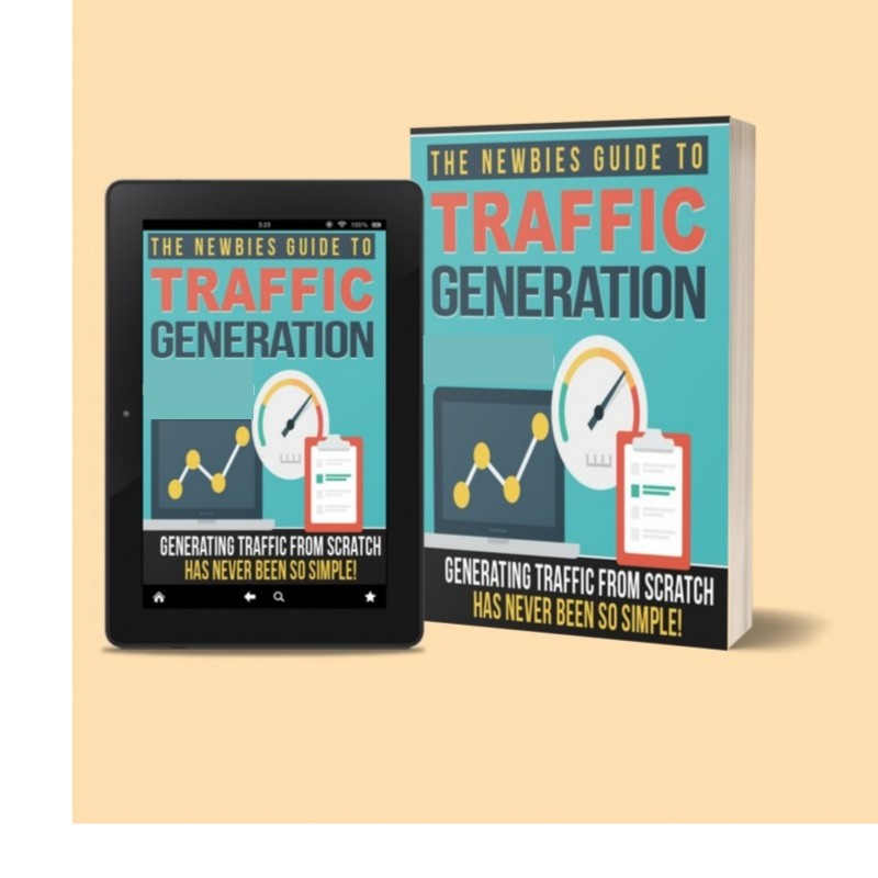 Buy THE NEWBIES GUIDE TO TRAFFIC GENERATION by Edem Emmanuel mfon on Selar