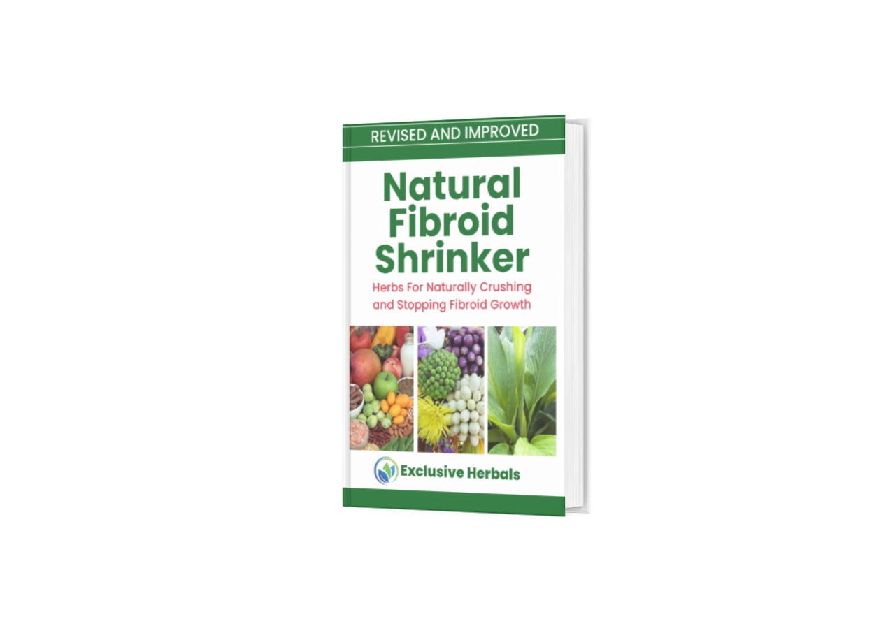 Buy Natural Fibroid Shrinking eBook by Endurance Praise on Selar