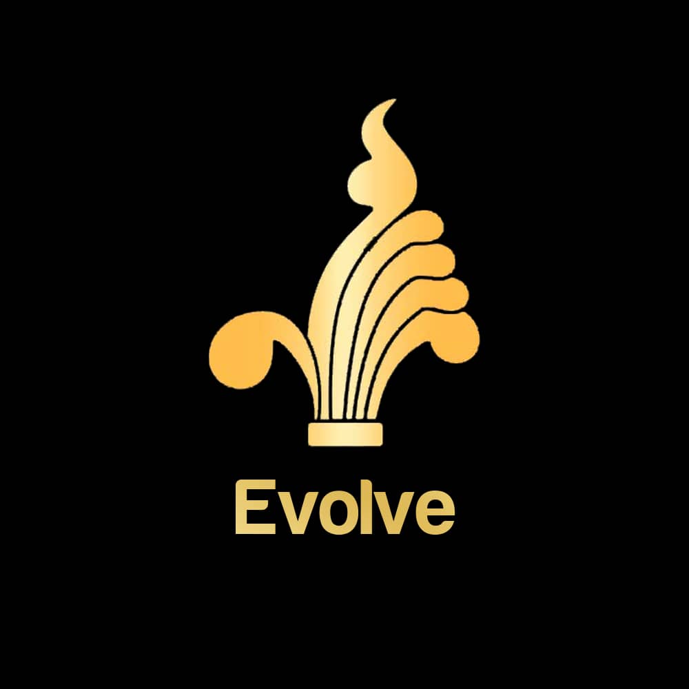 Buy EVOLVE MARITAL COACHING PROGRAM PLUS 3 I-ON-1 SESSIONS by Evolve Coaching and Consulting ...