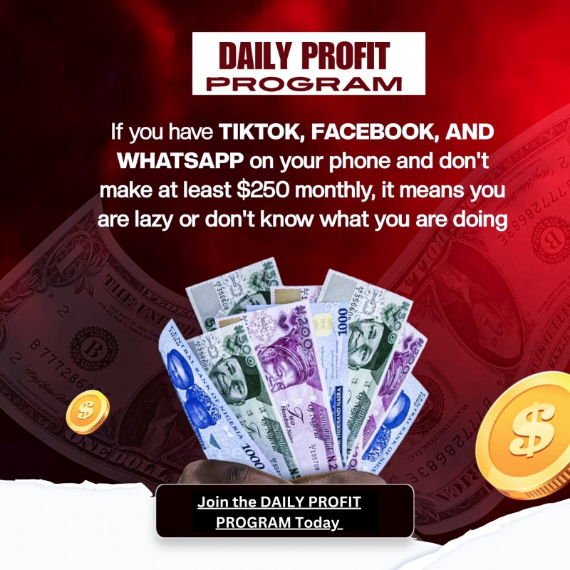 Buy DAILY PROFIT AFFILIATE PROGRAM by Ayanwale lukman Alade on Selar