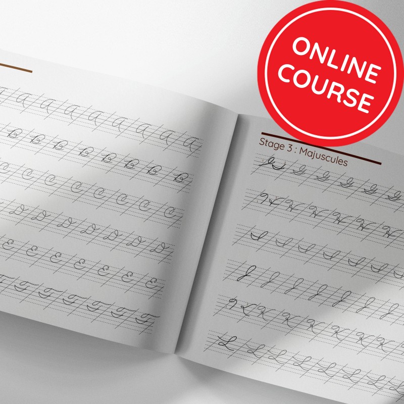 Buy Introduction to Business Cursive online course by Falligraphy on Selar
