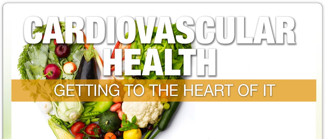 Buy Introduction to CPR by Healthy living Academy on Selar