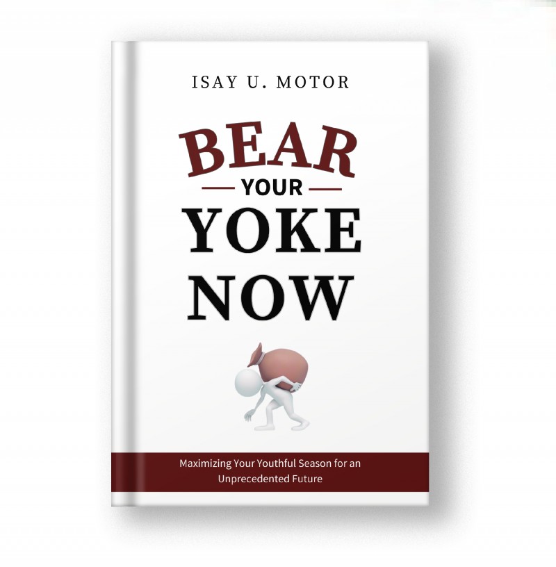 Buy BEAR YOUR YOKE NOW: MAXIMIZING YOUR YOUTHFUL SEASON FOR AN ...