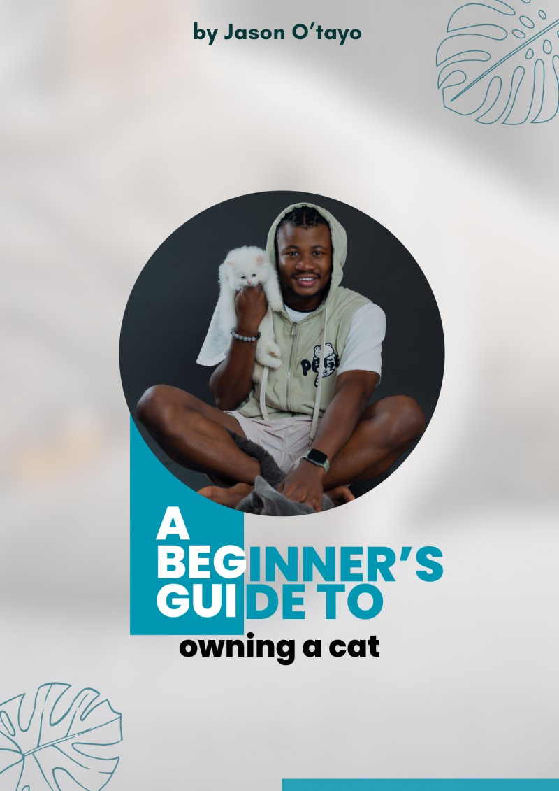 Buy A BEGINNER'S GUIDE TO OWNING A CAT by Jason The Cat Guy on Selar