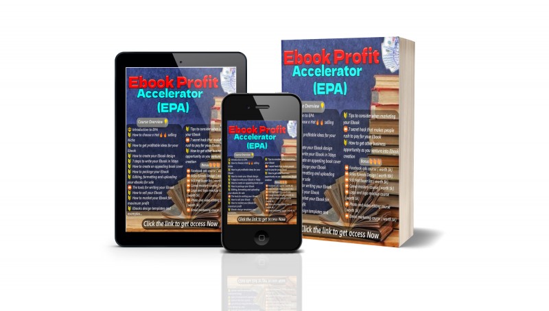 Buy Ebook Profit Accelerator by Coach amba on Selar