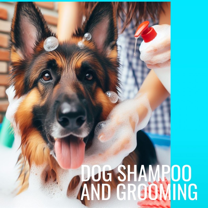 Buy DOG SHAMPOO AND GROOMING TIPS by Jewaina76 on Selar