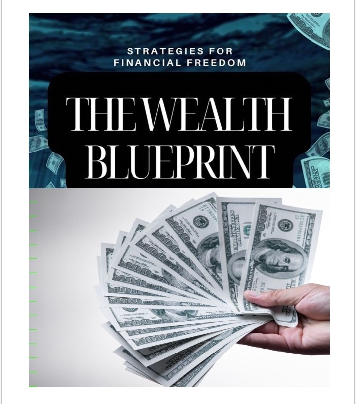Buy THE WEALTH BLUEPRINT by Ngele Joy Chidinma on Selar