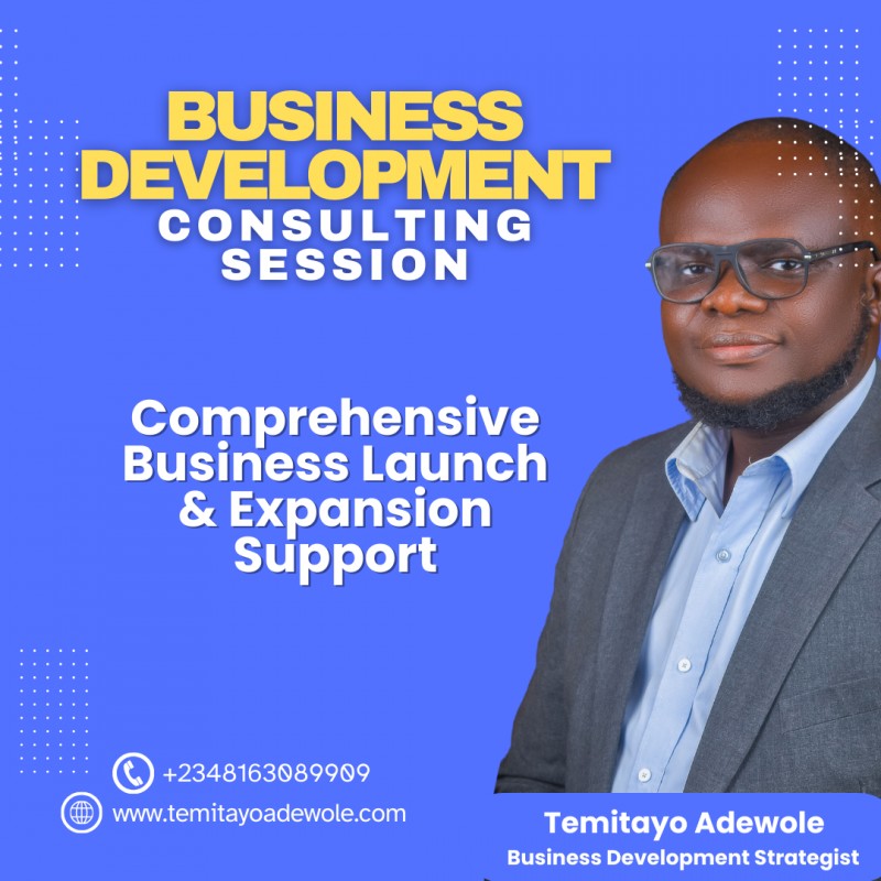 Buy 3-Month Business Development Program – Comprehensive Launch & Expansion Support by Temitayo ...