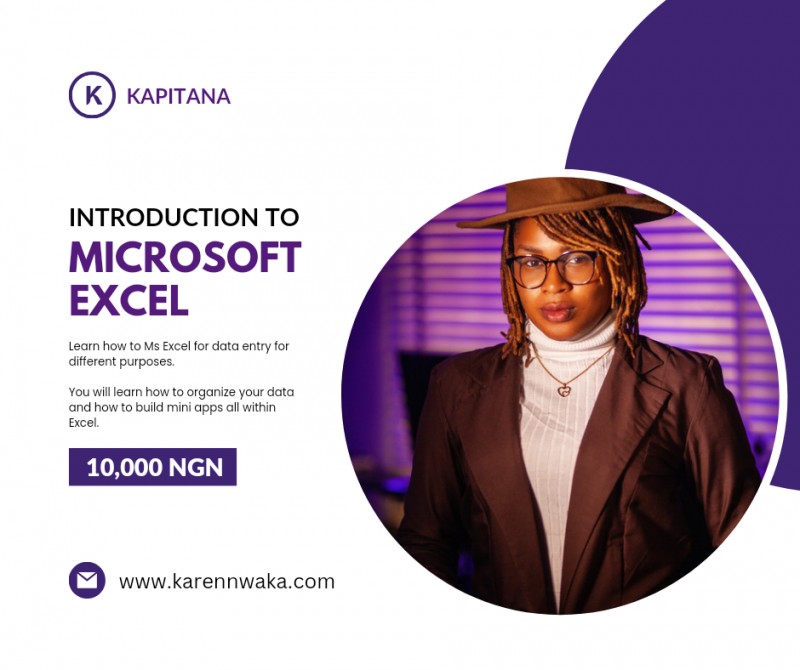 Buy Excel for Data Entry by Nwaka Karen on Selar