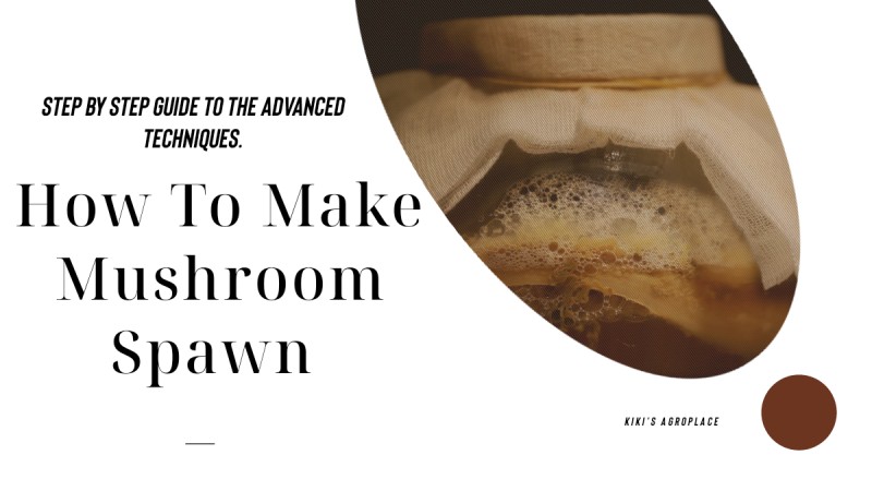 Buy Advanced techniques on how to make mushroom spawn by Kiki's Agroplace on Selar