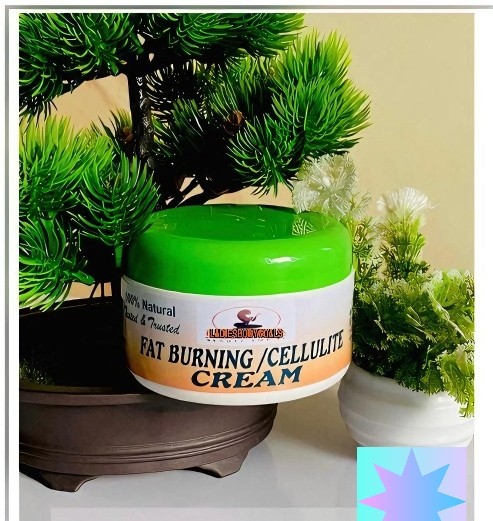 Buy Fat burner/slimming cream by LADIES BODY REVAMP on Selar