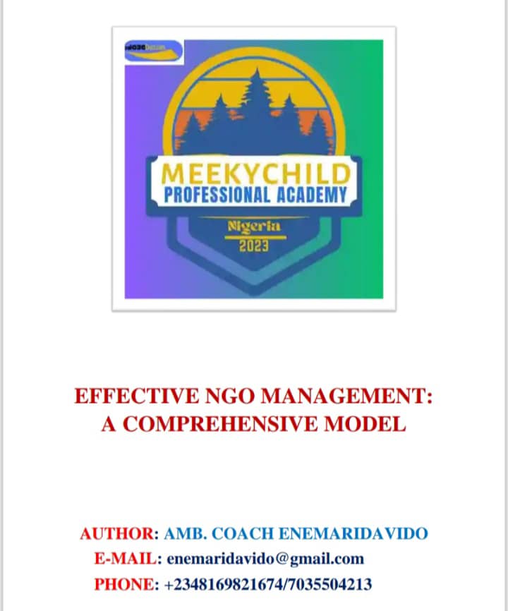 Buy EFFECTIVE NGO MANAGEMENT - A COMPREHENSIVE MODEL FOR SMOOTH ...