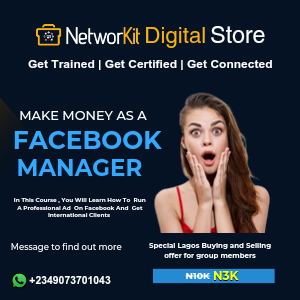 Buy How to earn in Dollars as a Facebook Manager in 2024 by NetworKit Digital Store on Selar