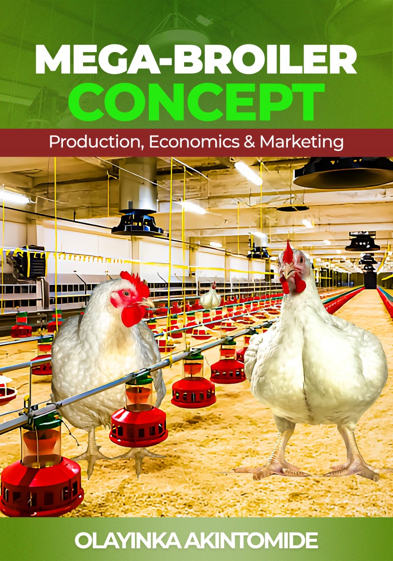 Buy Mega-Broiler Concept (Production, Economics and Marketing) - 2024 edition. by Olayinka ...