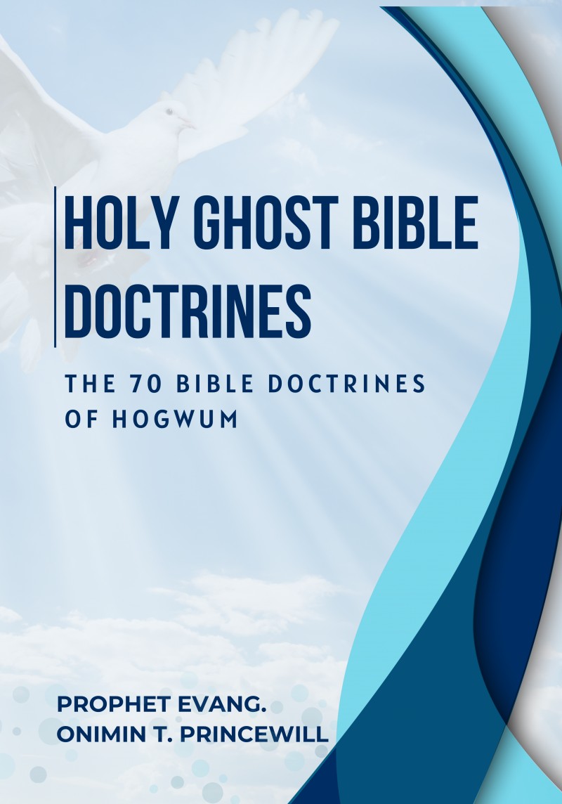 Buy HOLY GHOST BIBLE DOCTRINES (The 70 Bible Doctrines of HOGWUM) by ...