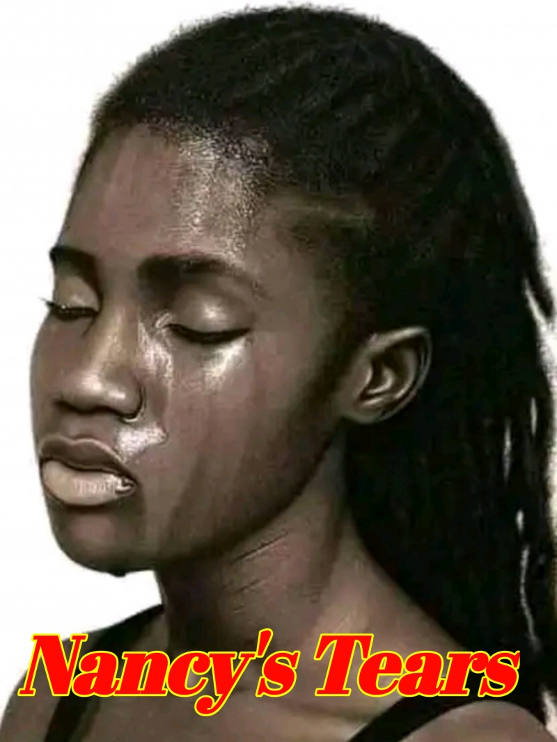 Buy Nancy's Tears by Dizad store on Selar